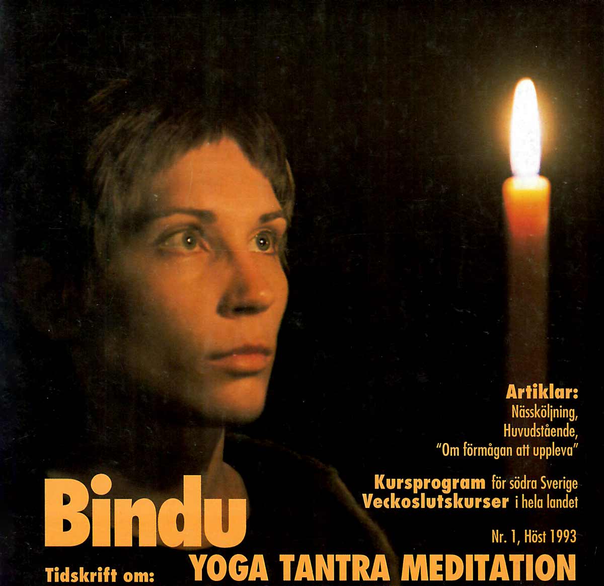 Bindu Magazine - A Successful Periodical on Yoga - Forceful Tranquility