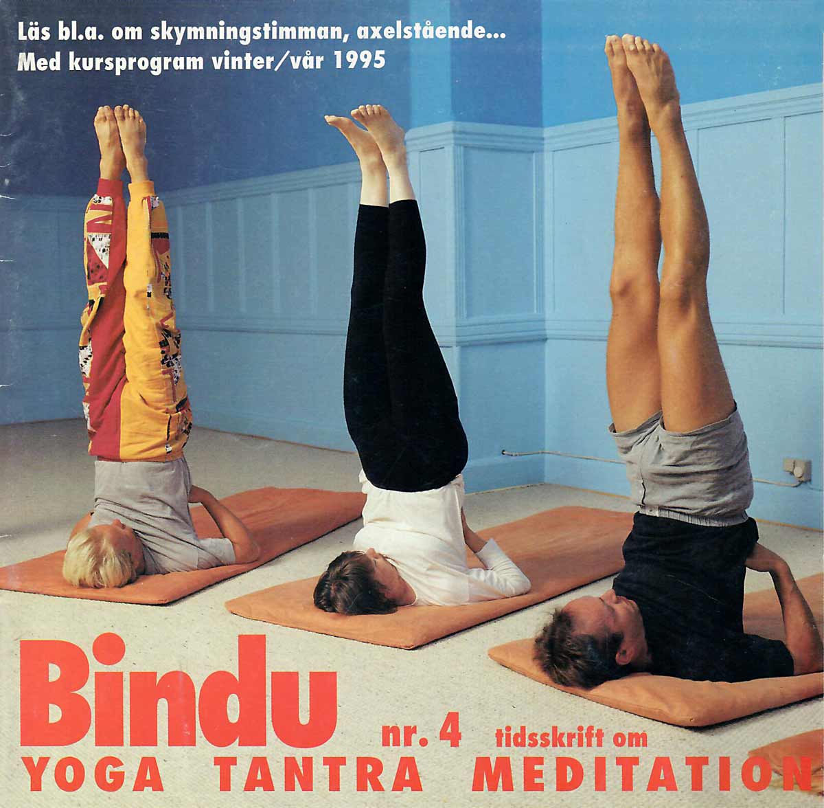 Bindu Magazine - A Successful Periodical on Yoga - Forceful Tranquility